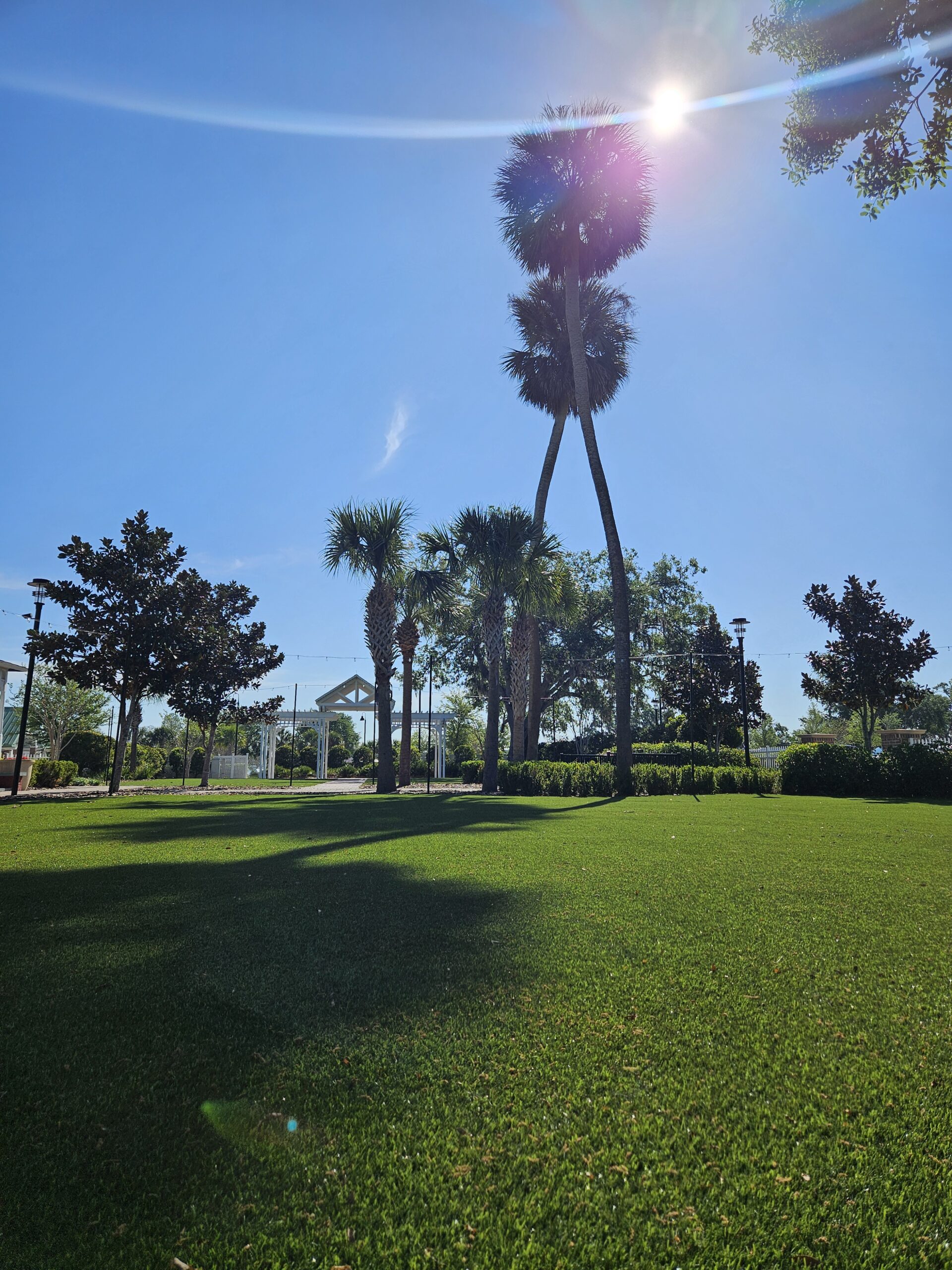 Spring Weddings at Ocoee Lakeshore: A Dream Come True – Ocoee Lakeshore ...